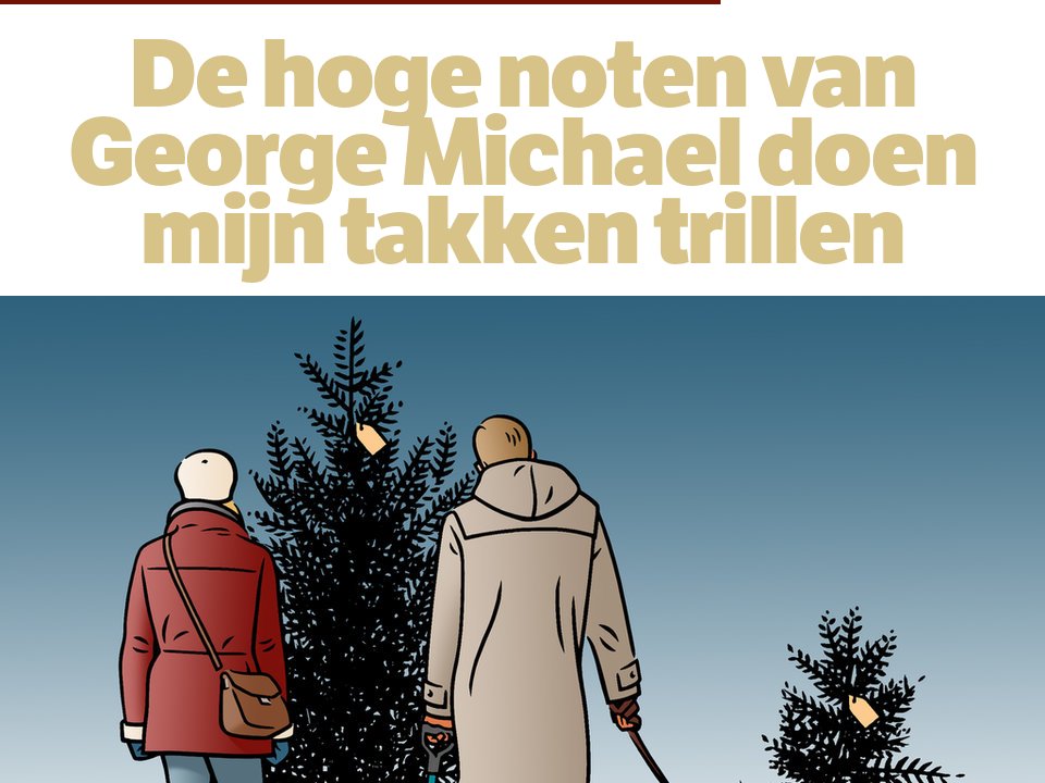 Kerstverhaal Anne Neuteboom - Feestdagenspecial